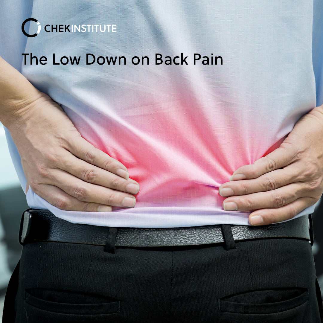 The Low Down on Low Back Pain – Chek Institute